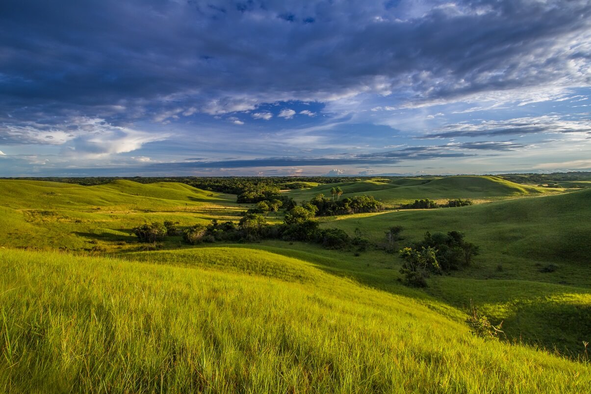 Relieve colombiano: cordilleras, montañas, mesetas, llanuras, islas