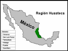 Cultura huasteca: historia, ubicación, características, economía