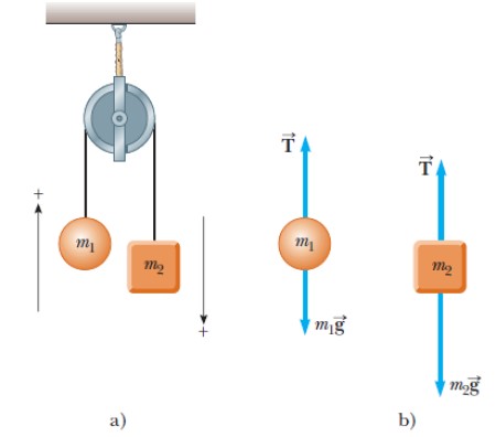Hoja De Trabajo Para Dibujar Diagramas De Cuerpo Libre