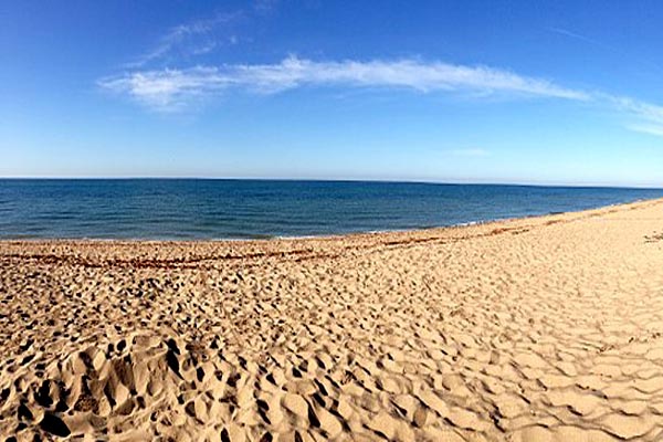 Dunas costeras: características, cómo se forman, flora, fauna