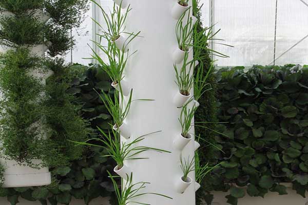 Huerto vertical: características, para qué sirve, ventajas y desventajas