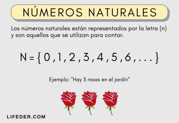 Clasificación de los Números Reales