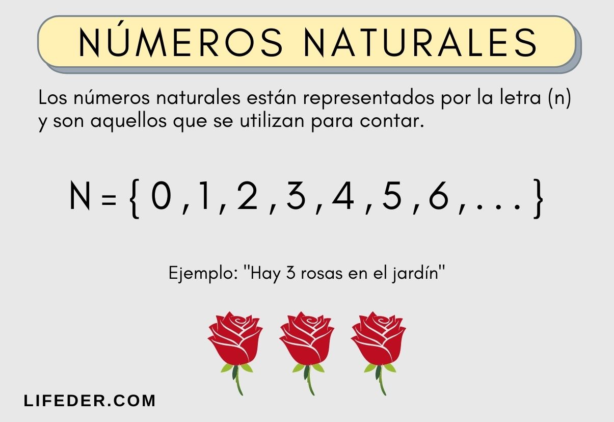 Clasificación de los Números Reales Clasificación de los Números Reales