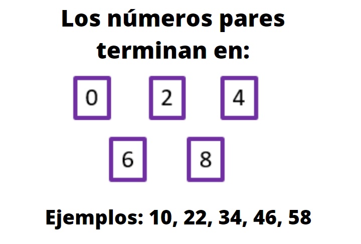 Números pares: qué son, cómo identificarlos, ejemplos, ejercicios Números pares: qué son, cómo identificarlos, ejemplos, ejercicios