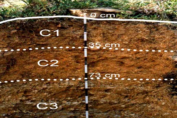 Regosol: características y usos