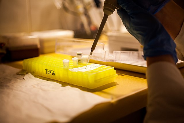 Electroforesis: fundamento, técnica, para qué sirve, ejemplos