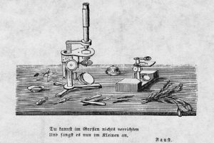 Matthias Schleiden: biografía, teoría celular, aportes