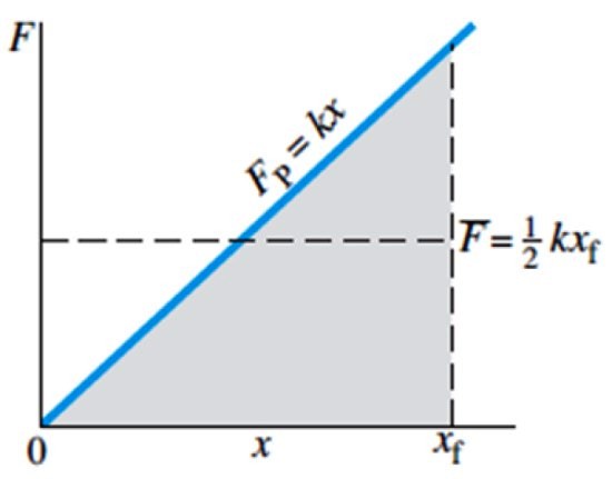 Ley de Hooke: fórmulas, ejemplos, aplicaciones, ejercicios
