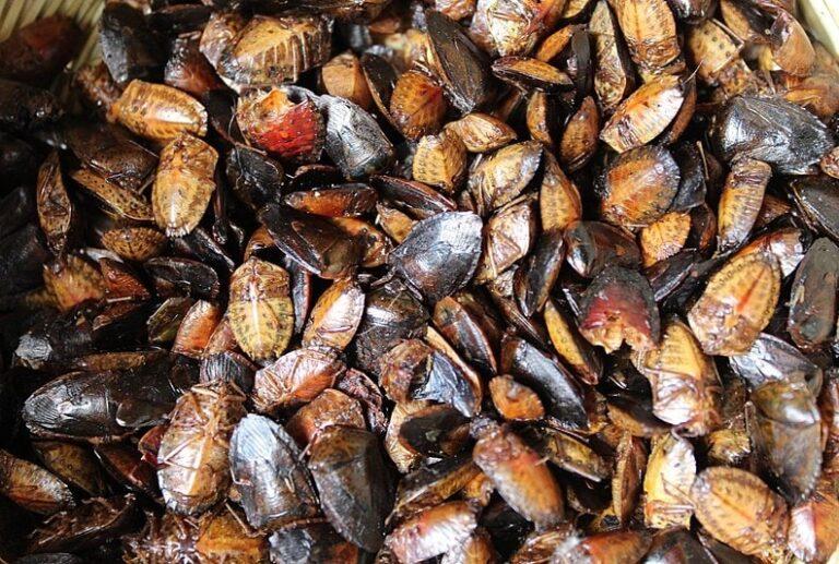 Comidas típicas de Guerrero: los 10 platos más destacados