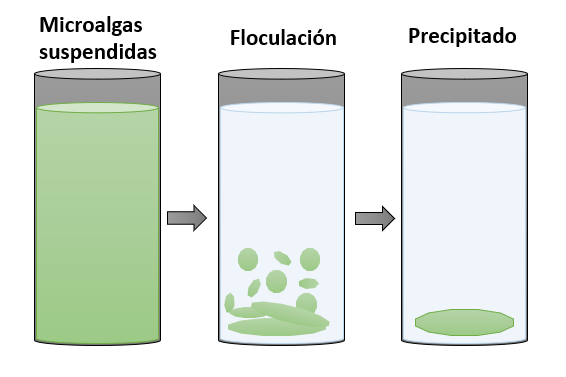 Floculación: reacción, tipos, aplicaciones, ejemplos