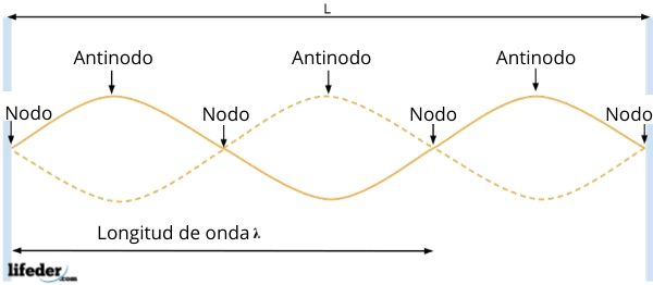 Ondas estacionarias: fórmulas, características, tipos, ejemplos
