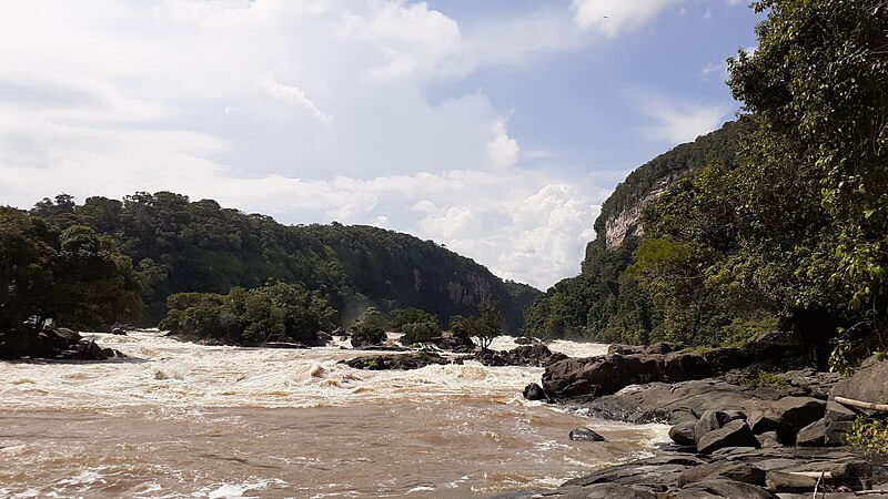 Los 10 Ríos de la Región Amazónica Más Importantes