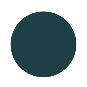 +20 colores que empiezan con T más famosos (Nombres, Hex)