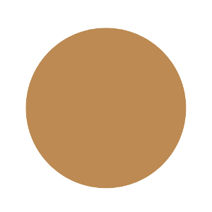 Los 20 colores que empiezan con Z más famosos (Nombres, Hex)