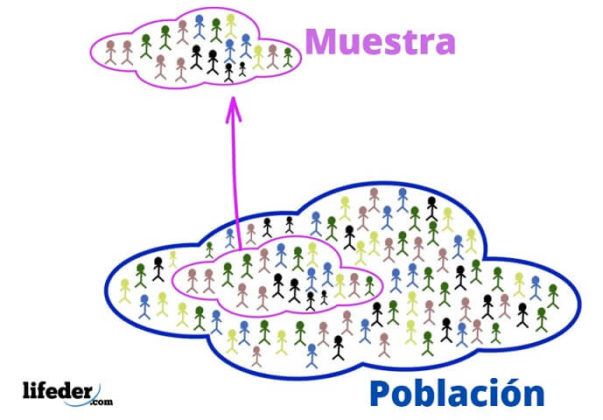 14 Ejemplos de Población y Muestra 14 Ejemplos de Población y Muestra