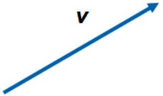 Suma de vectores: método gráfico, ejemplos, ejercicios resueltos