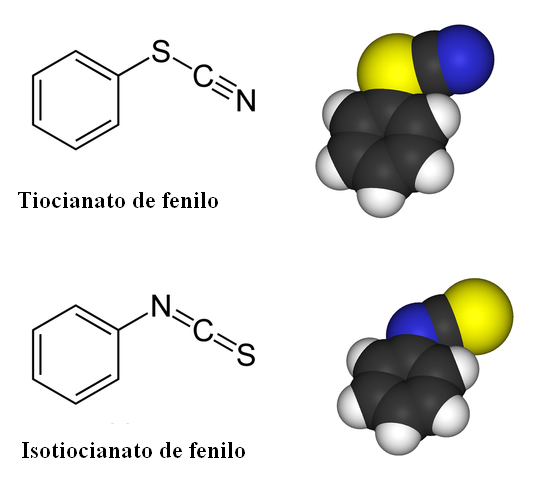 Tiocianato: formación, estructura, tipos, usos