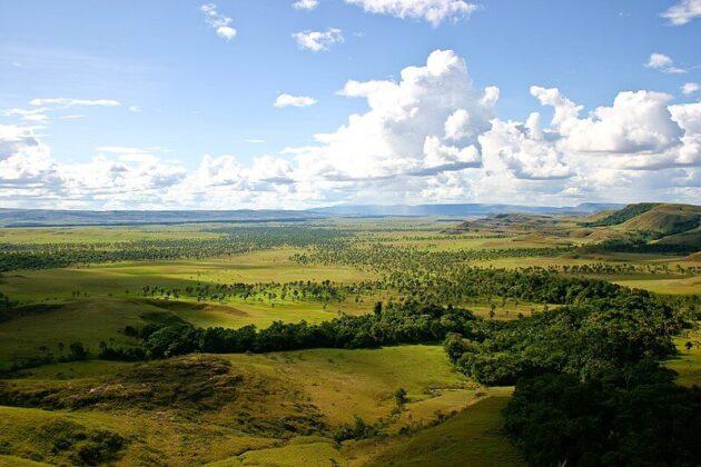 Los 12 Paisajes Naturales de Venezuela Más Importantes