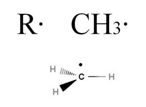 Radicales alquilo: cómo se forman, nomenclatura, ejemplos