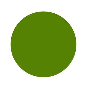 Los 28 colores que empiezan con P más famosos (Nombre, Hex)