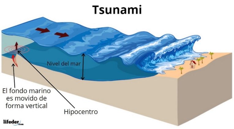 Tsunami: qué es, características, causas, consecuencias, ejemplos