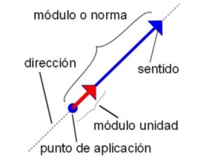 Vectores unitarios: características, cómo sacarlo, ejemplos