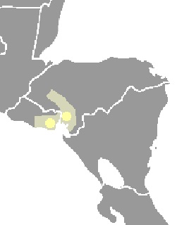 Lencas: historia, ubicación, características, tradiciones