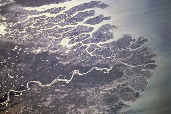 Ambientes sedimentarios: tipos y sus características, ejemplos