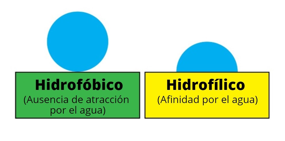 Hidrofílico: usos del término, características, ejemplos