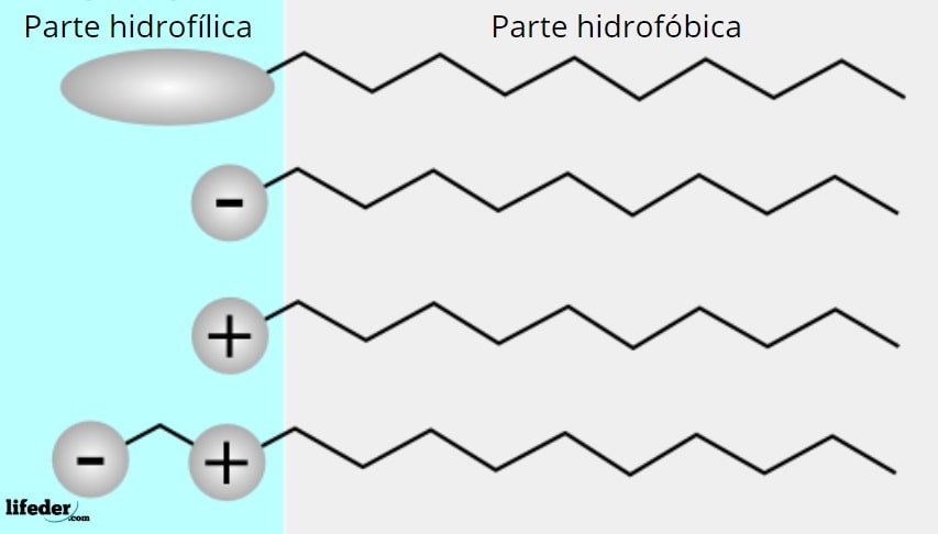 Tensoactivos: propiedades, tipos, aplicaciones