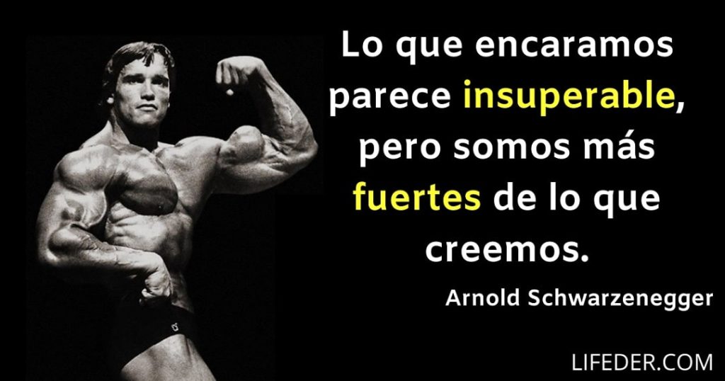 115 Frases De Gimnasio Motivadoras Para No Parar