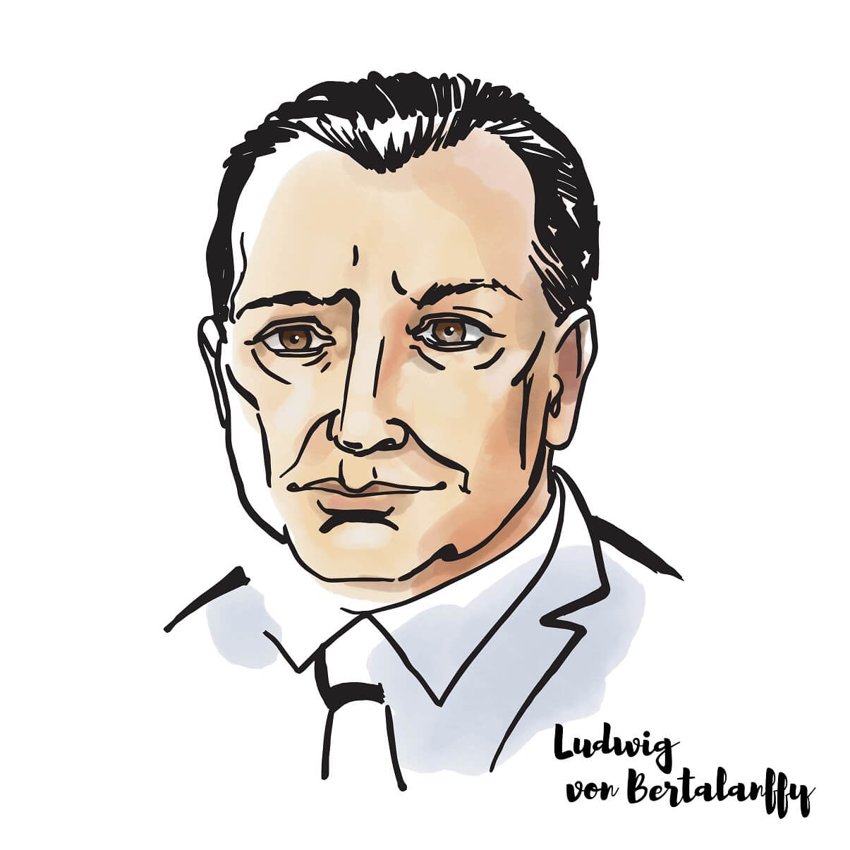 Teoría de sistemas: concepto, características, autores, ejemplos (2023)