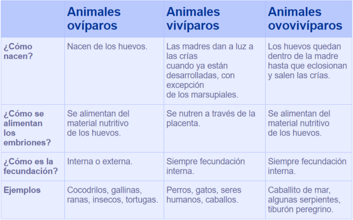 Animales ovíparos, vivíparos y ovovivíparos (con ejemplos)