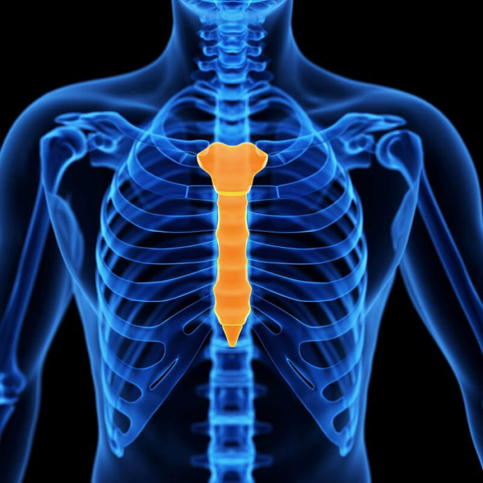 Huesos planos: función y tipos