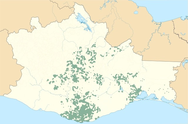Cultura zapoteca: características, ubicación, sociedad, economía