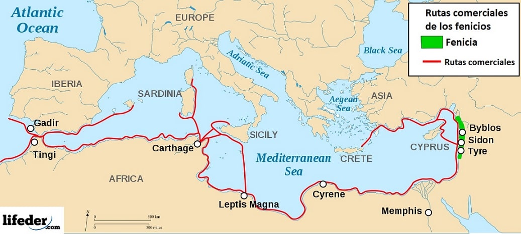 Fenicios: características, ubicación, sociedad, economía
