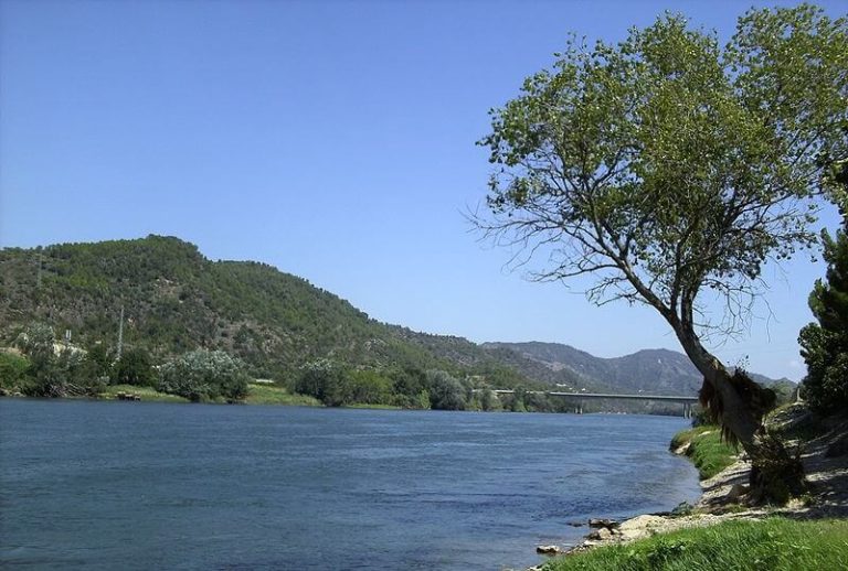 Río Ebro: qué es, historia, características, ciudades, flora, fauna