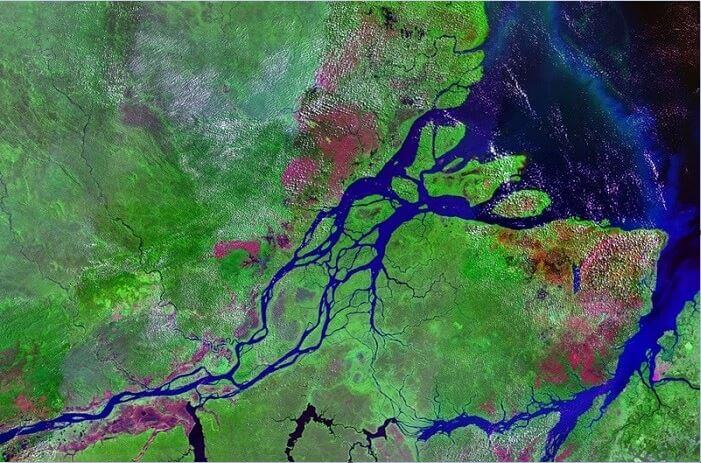 Río Amazonas: características, nacimiento, recorrido, flora, fauna