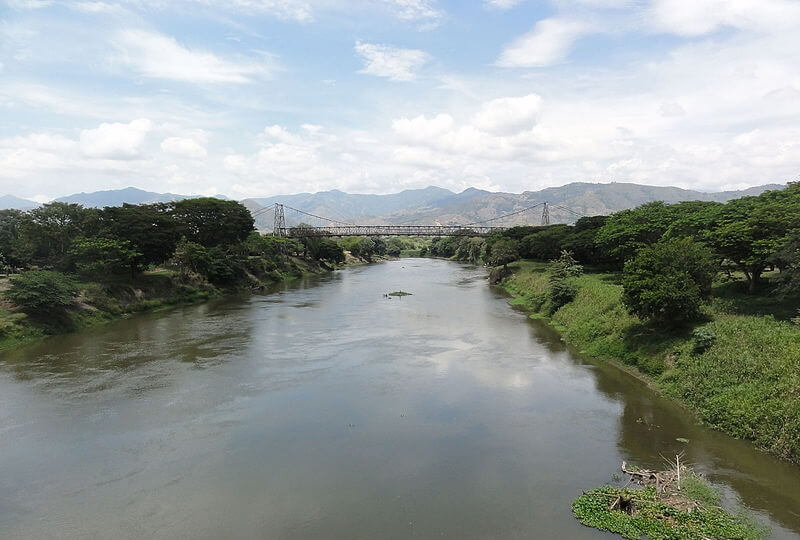 Río Cauca: recorrido, afluentes, características, flora