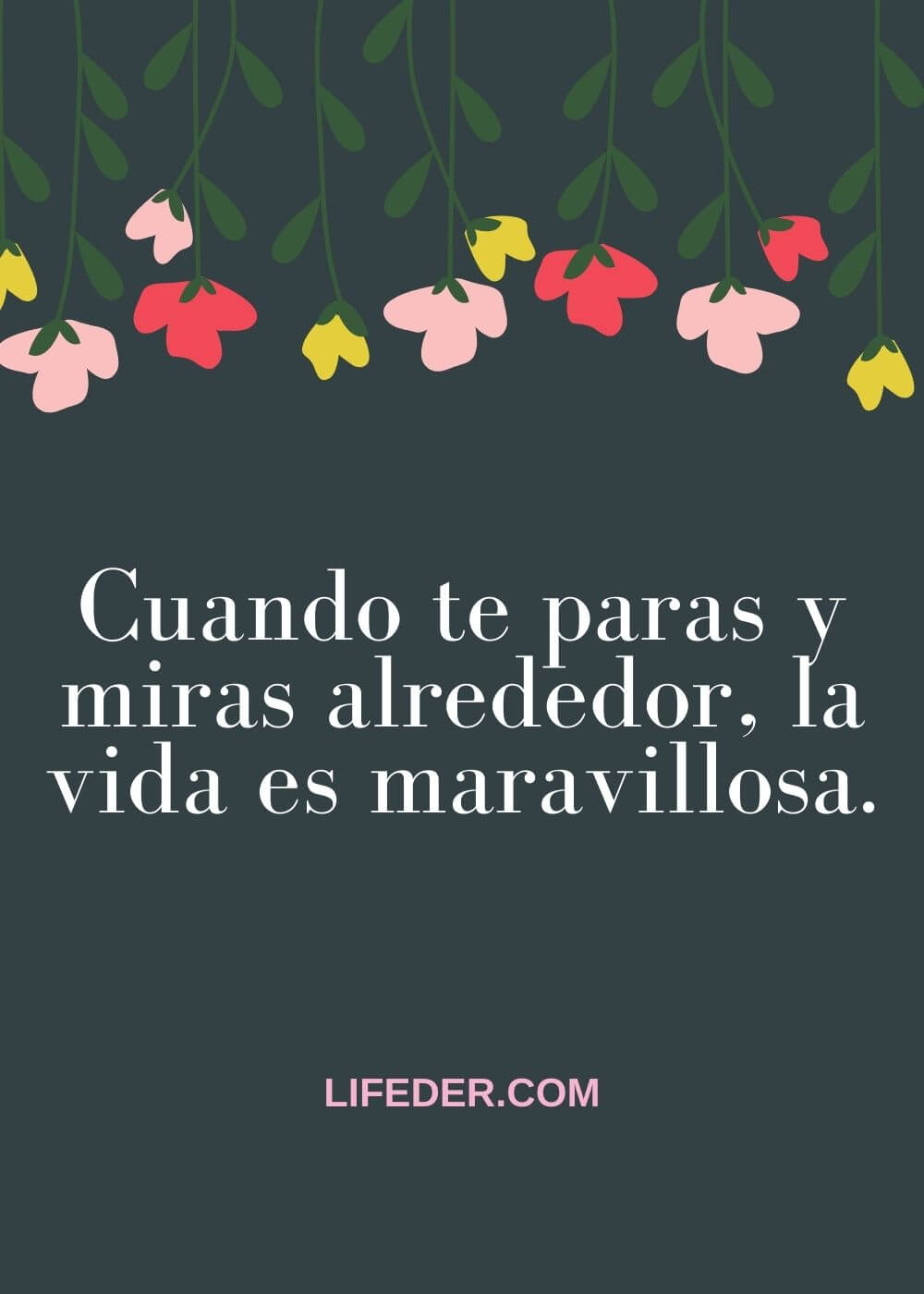 +115 Frases Bonitas y Lindas de la Vida y Amor