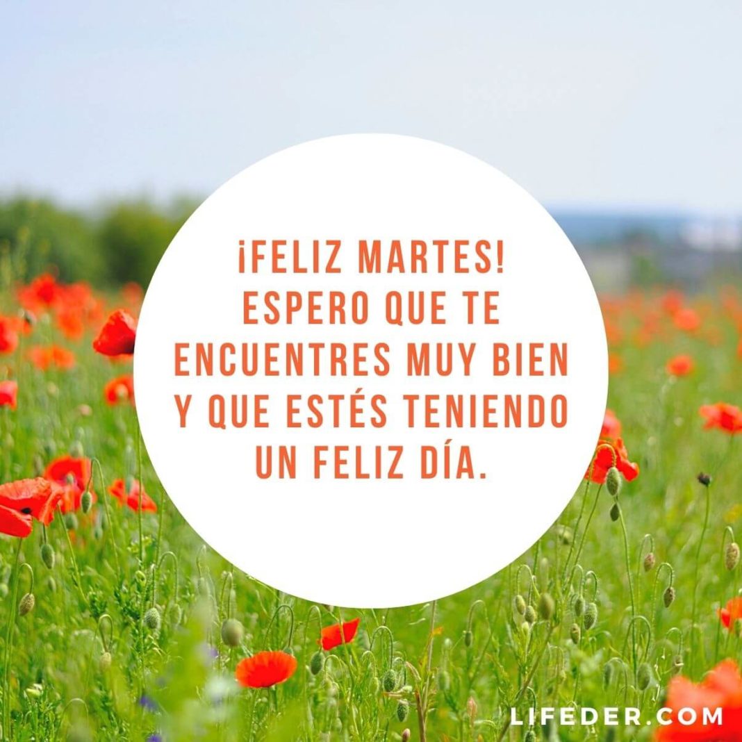 Feliz Martes: 100 Frases para Dedicar y Compartir + Imágenes