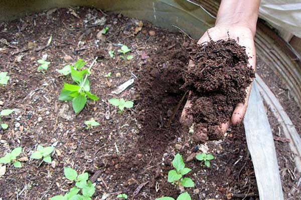 Composta: materiales, elaboración, tipos, usos