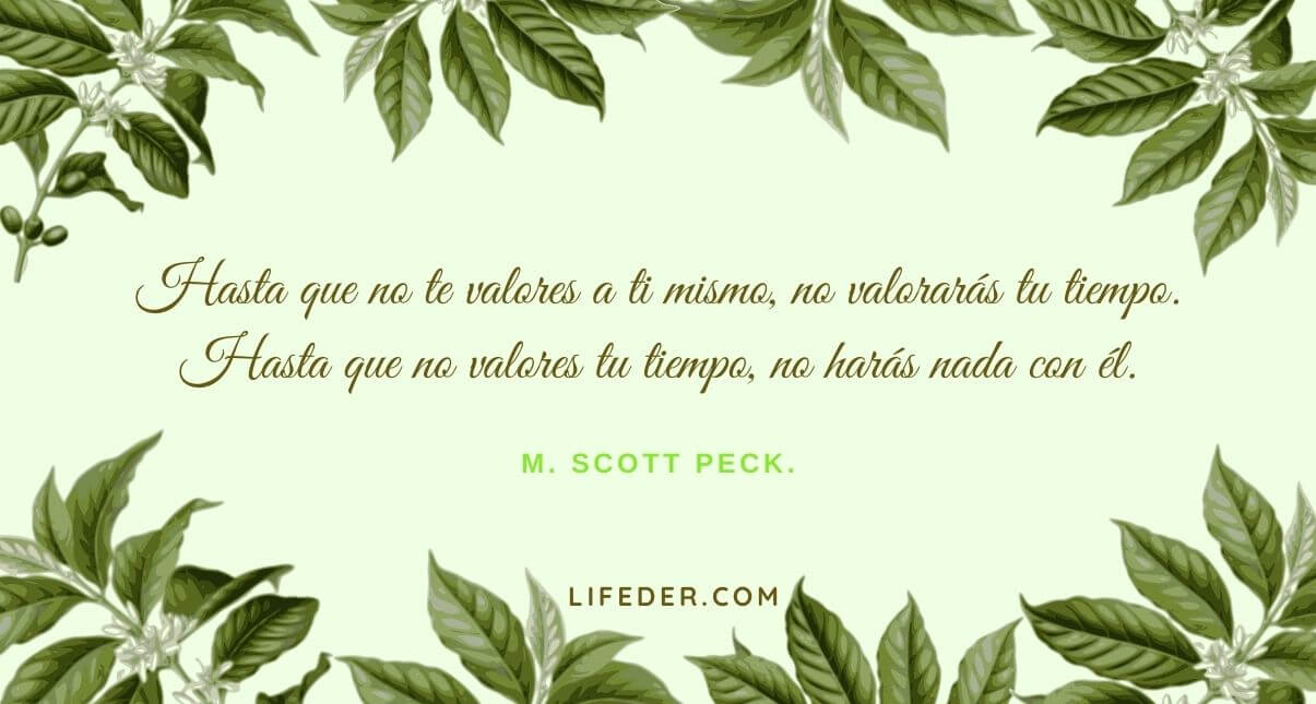 +100 Frases de Valores Humanos (para Niños y Adultos) - Lifeder