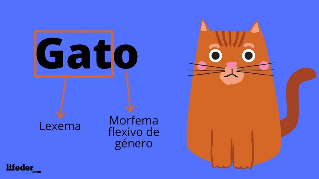 Lexema: definición, tipos, ejemplos