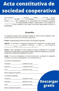 Acta Constitutiva de una Empresa (Modelos de Ejemplo)