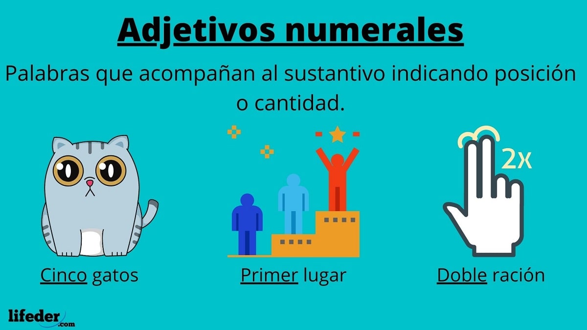 Adjetivos Numerales Definición Tipos Y Ejemplos
