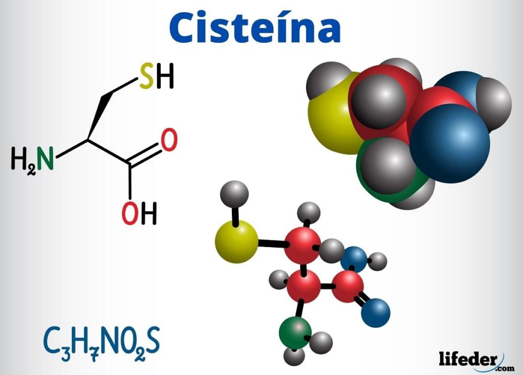 Tioles: propiedades, síntesis, usos, ejemplos, nomenclatura