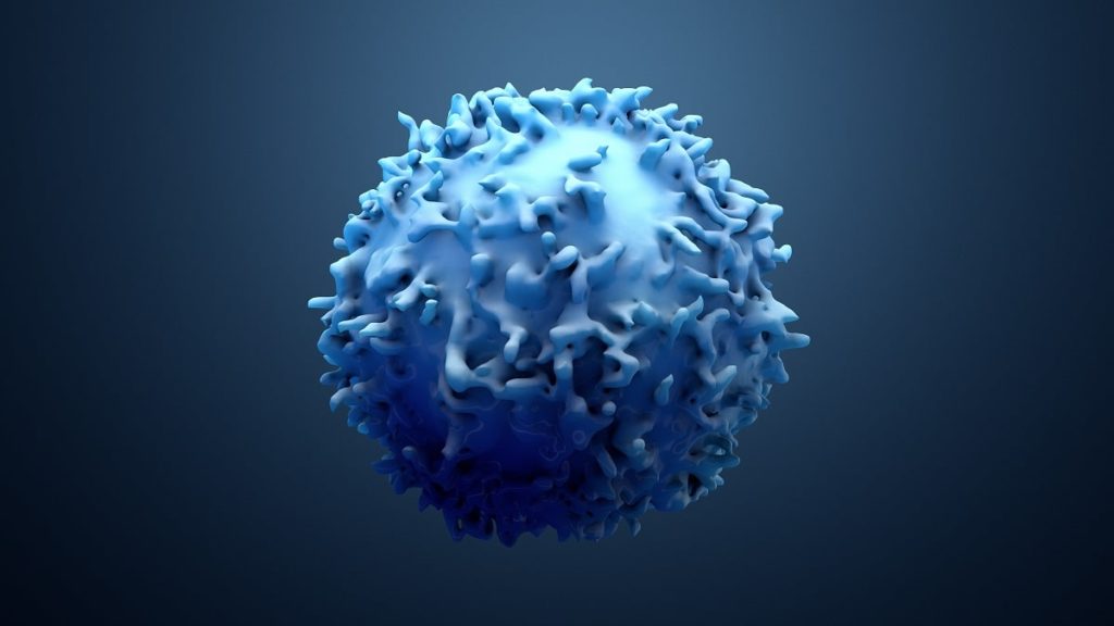 ¿Qué son los linfoblastos?