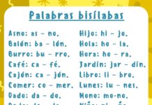 350 Palabras con NV en Español - Lifeder