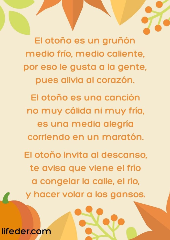 +30 poemas para niños divertidos y fáciles de leer
